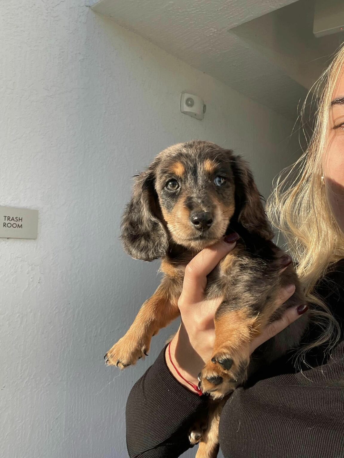 Amazing Experience! | Furry Trails Pet Transport